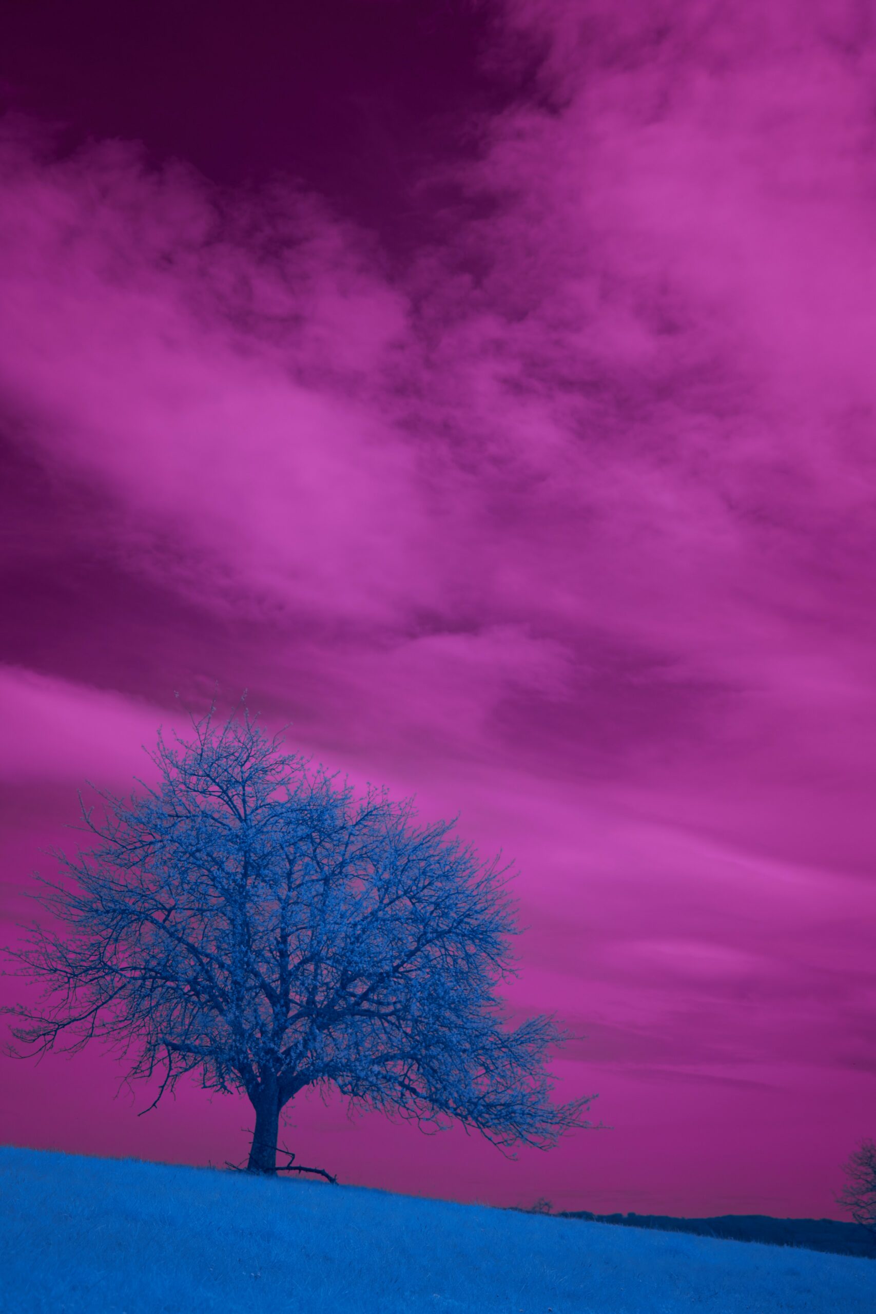 NOS SERVICES | PL DIFFUSION ENERGIE